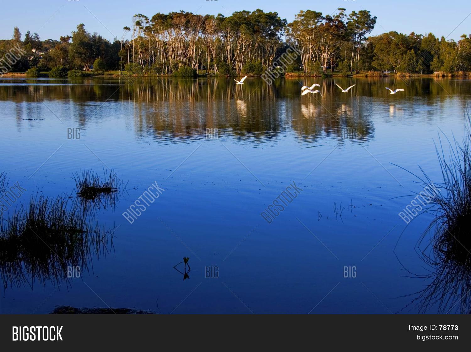 Lake Tabourie Image & Photo (Free Trial) | Bigstock