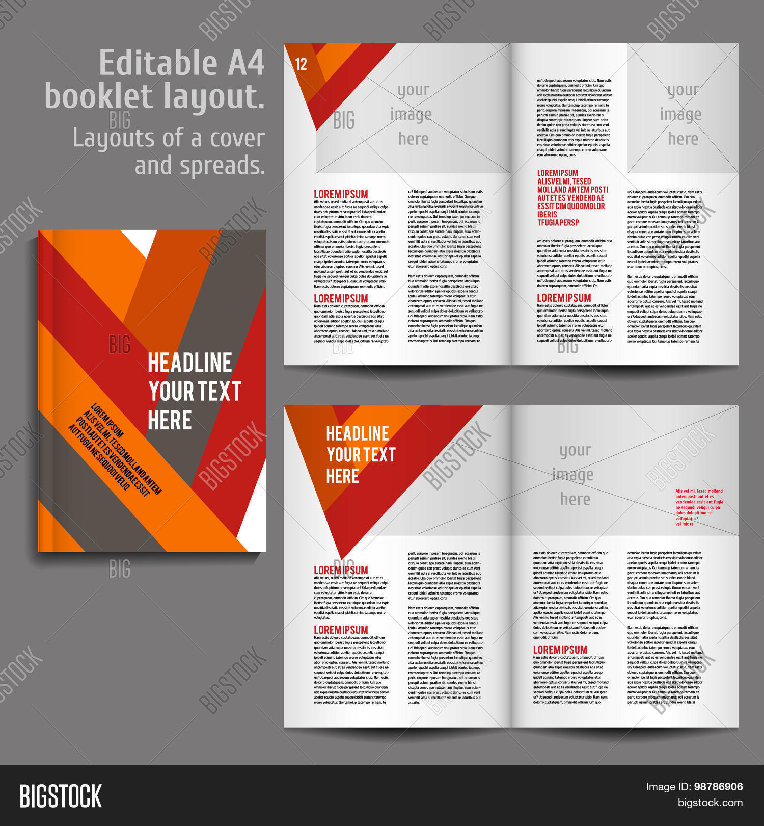 A4 Book Layout Design Vector & Photo (Free Trial) | Bigstock
