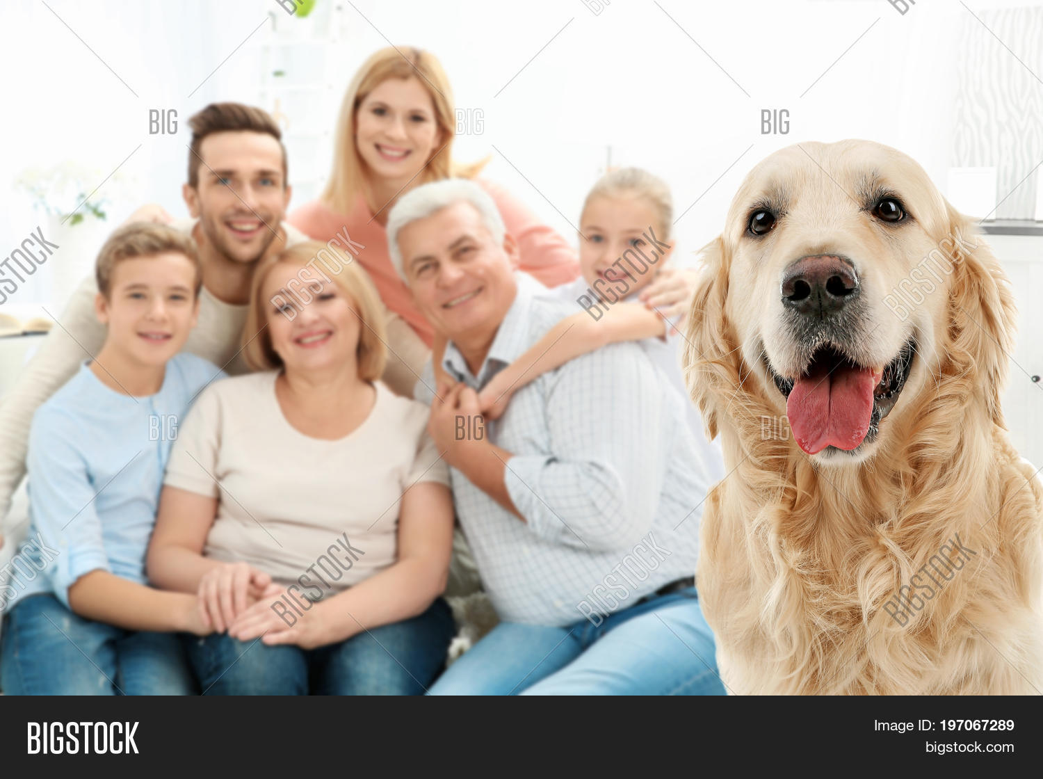 Dog Happy Family On Image & Photo (Free Trial) | Bigstock