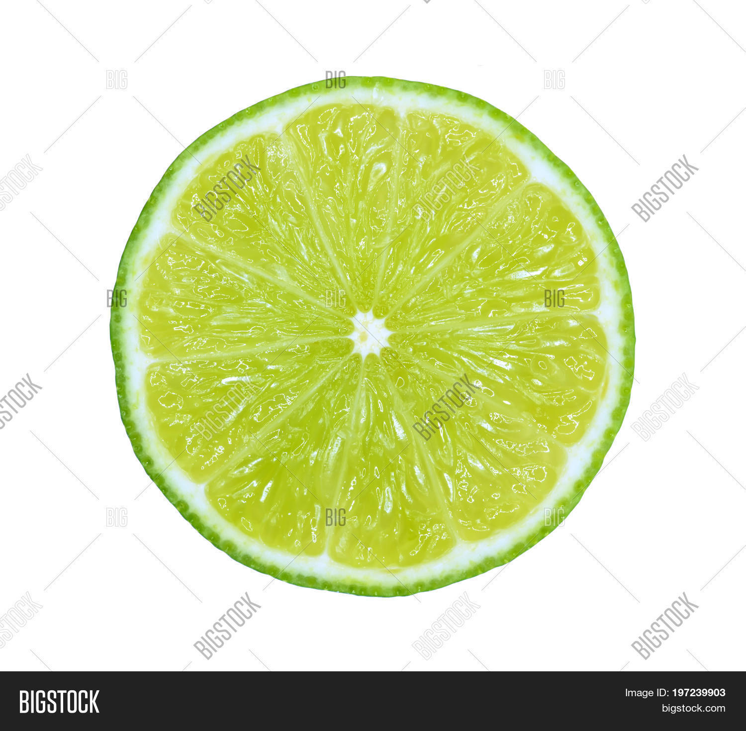 Isolate Cross Section Image & Photo (Free Trial) | Bigstock
