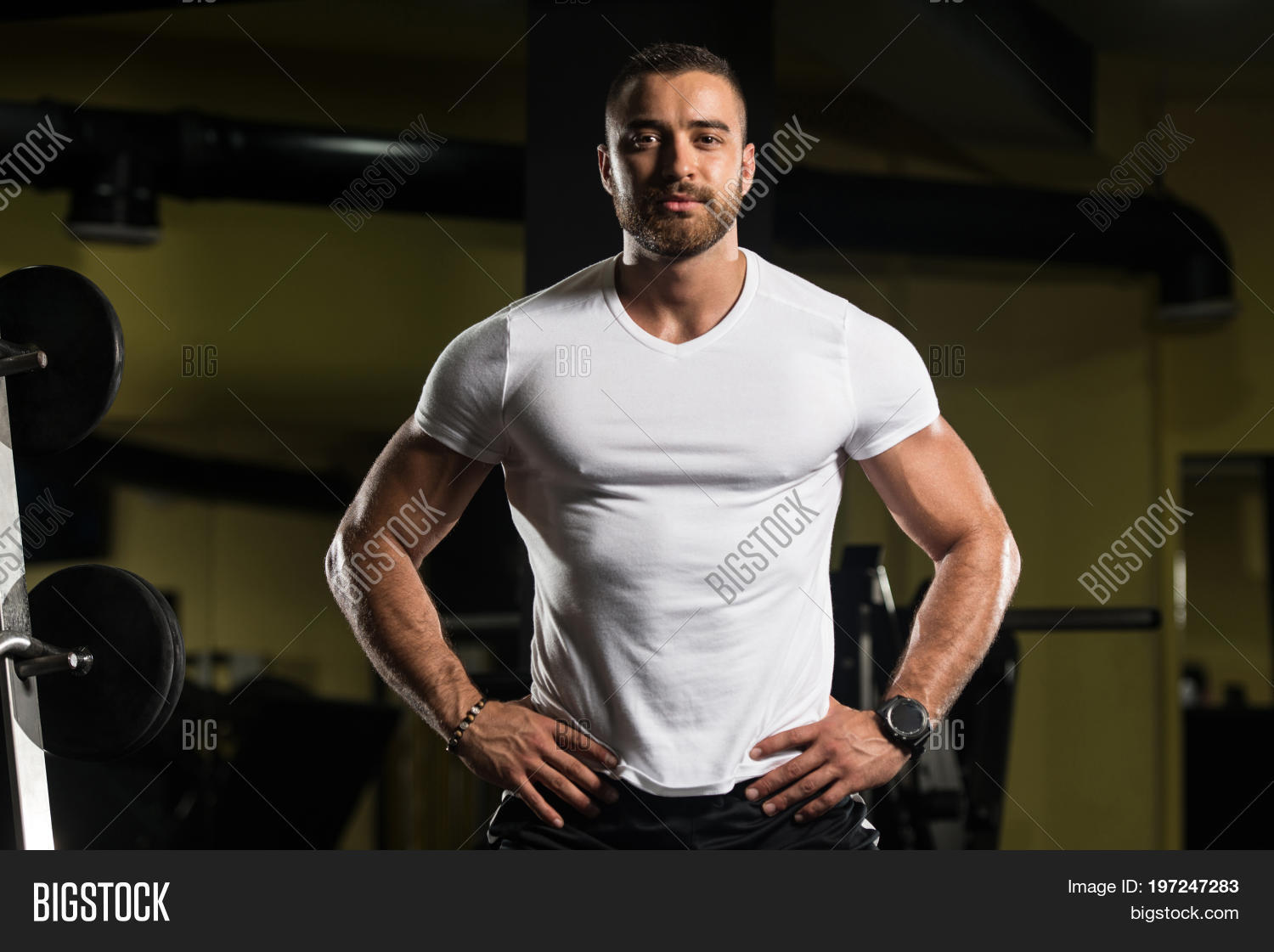 Portrait Fitness Man Image & Photo (Free Trial) | Bigstock