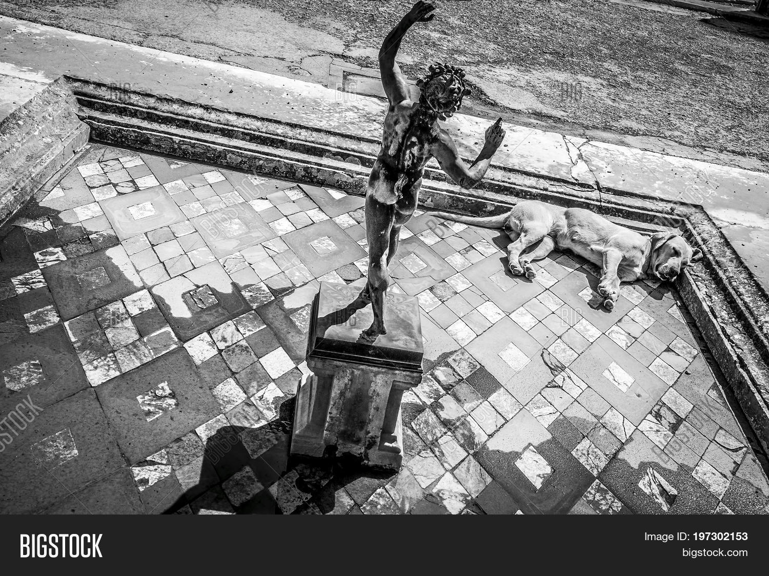 Pompeii Ruins, Dog Image & Photo (Free Trial) | Bigstock