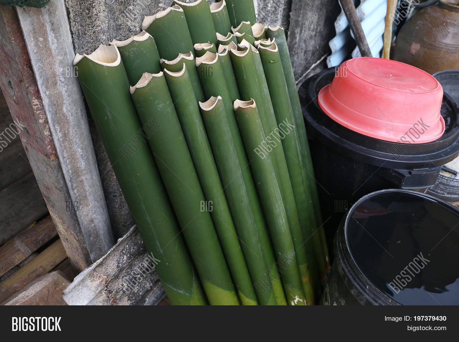 Cutted Bamboo Stem Image & Photo (Free Trial) | Bigstock