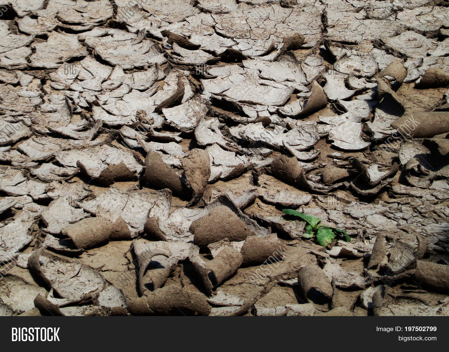 Dry Land, Dry Earth, Image & Photo (Free Trial) | Bigstock