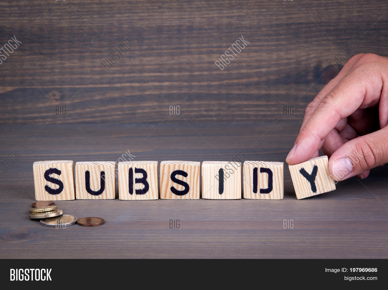 Subsidy. Wooden Image & Photo (Free Trial) | Bigstock