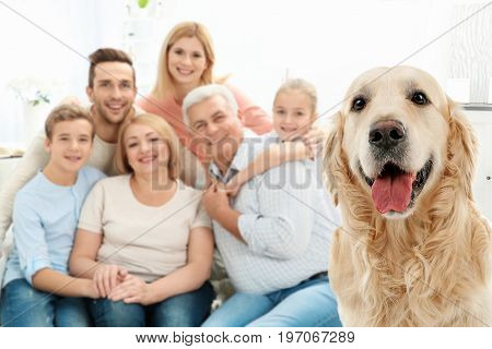 Dog Happy Family On Image & Photo (Free Trial) | Bigstock