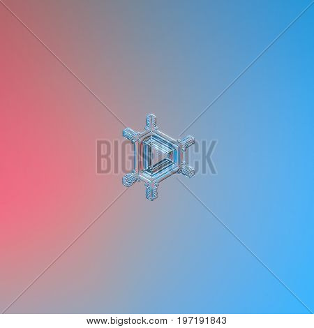 Real Snowflake Macro Image & Photo (Free Trial) | Bigstock