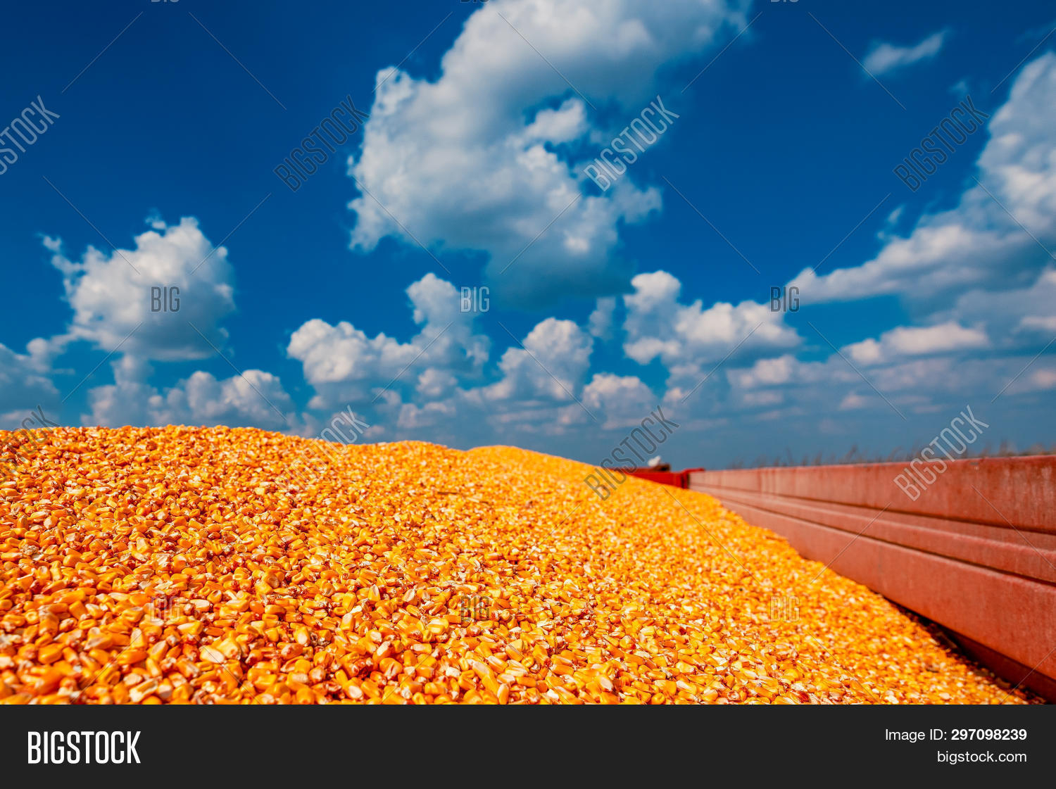 Pile Harvested Corn Image & Photo (Free Trial) | Bigstock