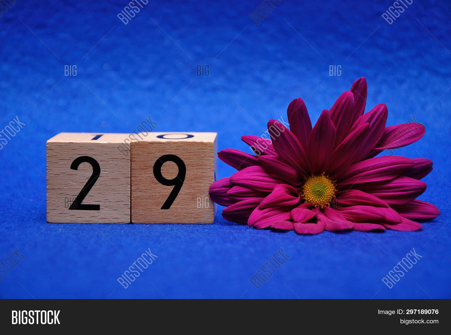 Number Twenty Nine Image & Photo (Free Trial) | Bigstock