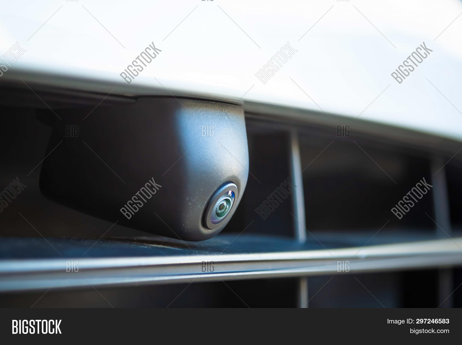 Closeup. Front View Image & Photo (Free Trial) | Bigstock