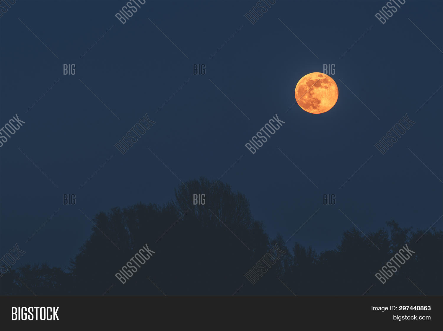 Golden Moon Dark Night Image & Photo (Free Trial) | Bigstock