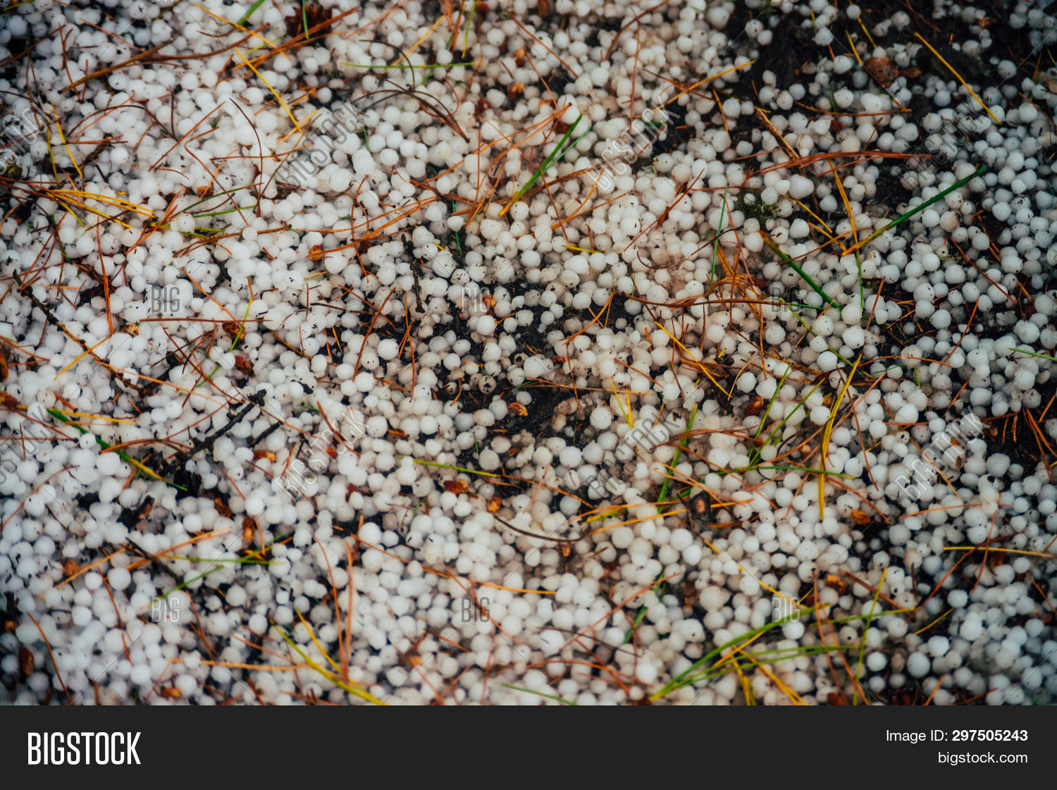 Hailstones On Ground Image & Photo (Free Trial) | Bigstock