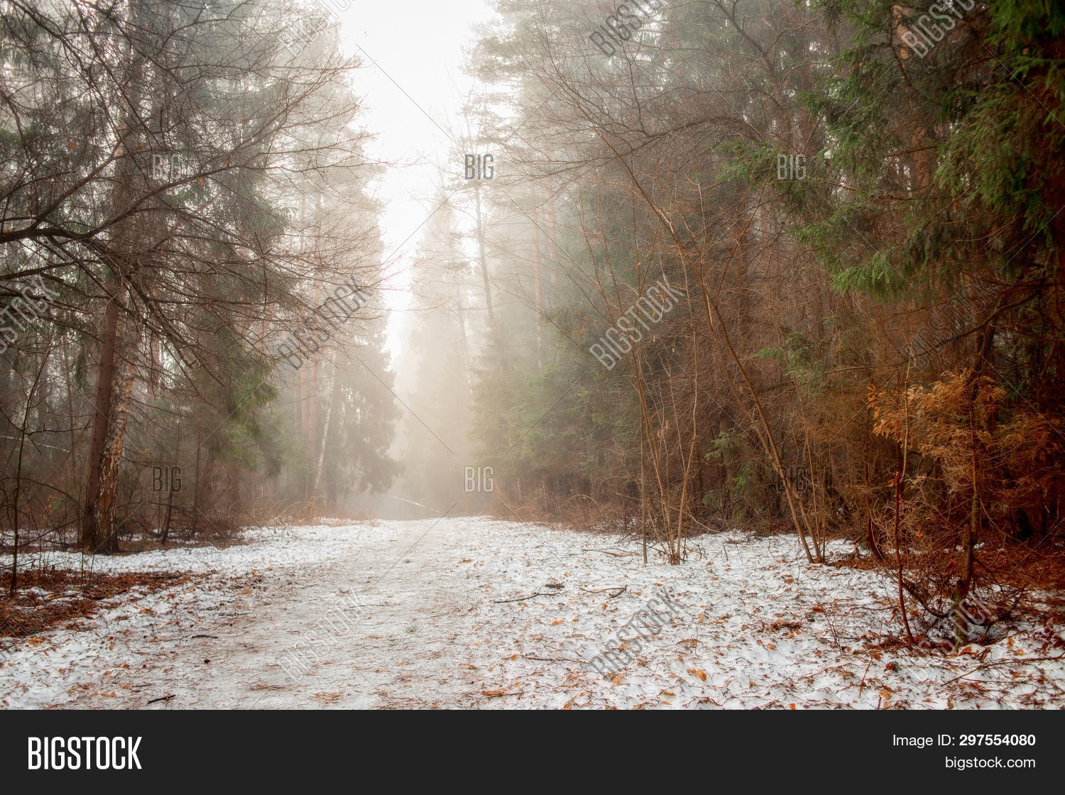 Misty Landscape Forest Image & Photo (Free Trial) | Bigstock