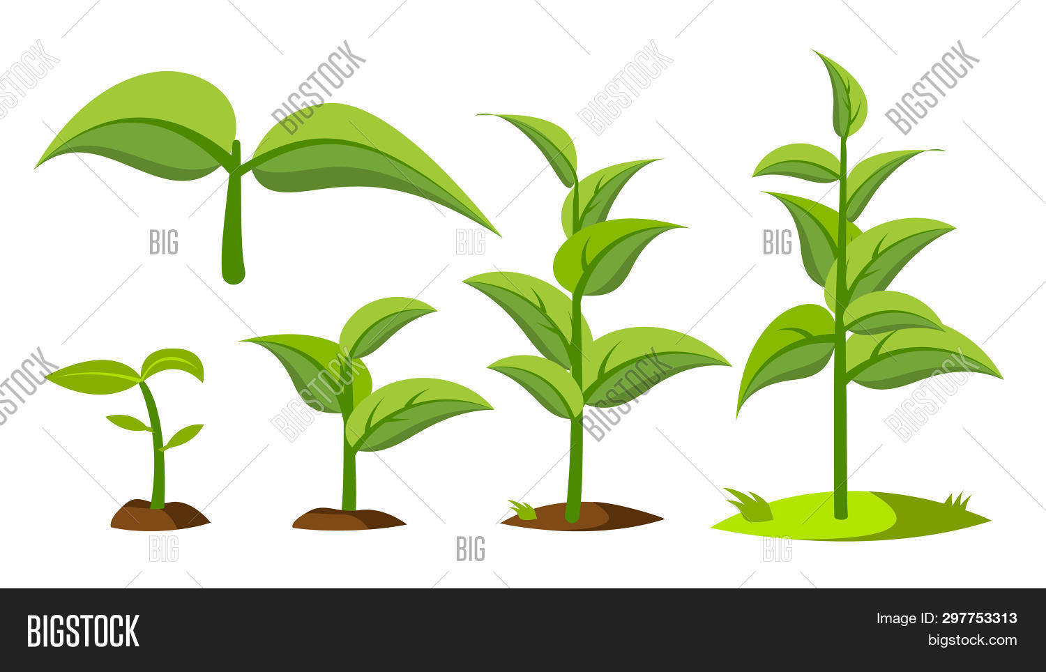 Saplings, Sprouts Image & Photo (Free Trial) | Bigstock