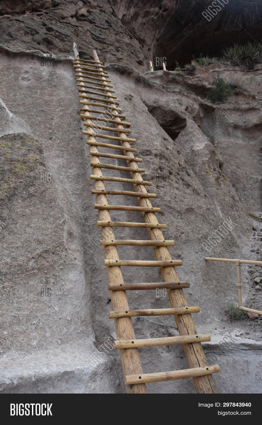 Very Tall Ladder Image & Photo (Free Trial) | Bigstock