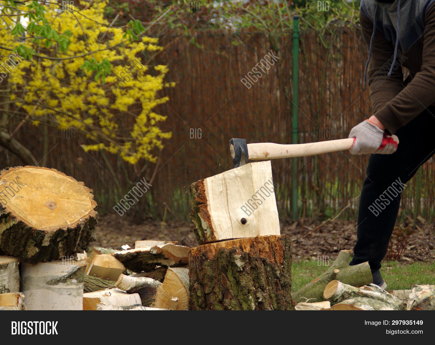 Chopping Wood Ax His Image & Photo (Free Trial) | Bigstock