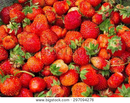 Images, illustrations et images vectorielles de Fraise (gratuites ...