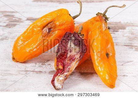 Old, Moldy Wrinkled Image & Photo (Free Trial) | Bigstock