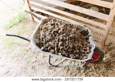 Manure Organic Compost Image & Photo (Free Trial) | Bigstock