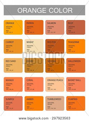 Orange. Color Codes Vector & Photo (Free Trial) | Bigstock