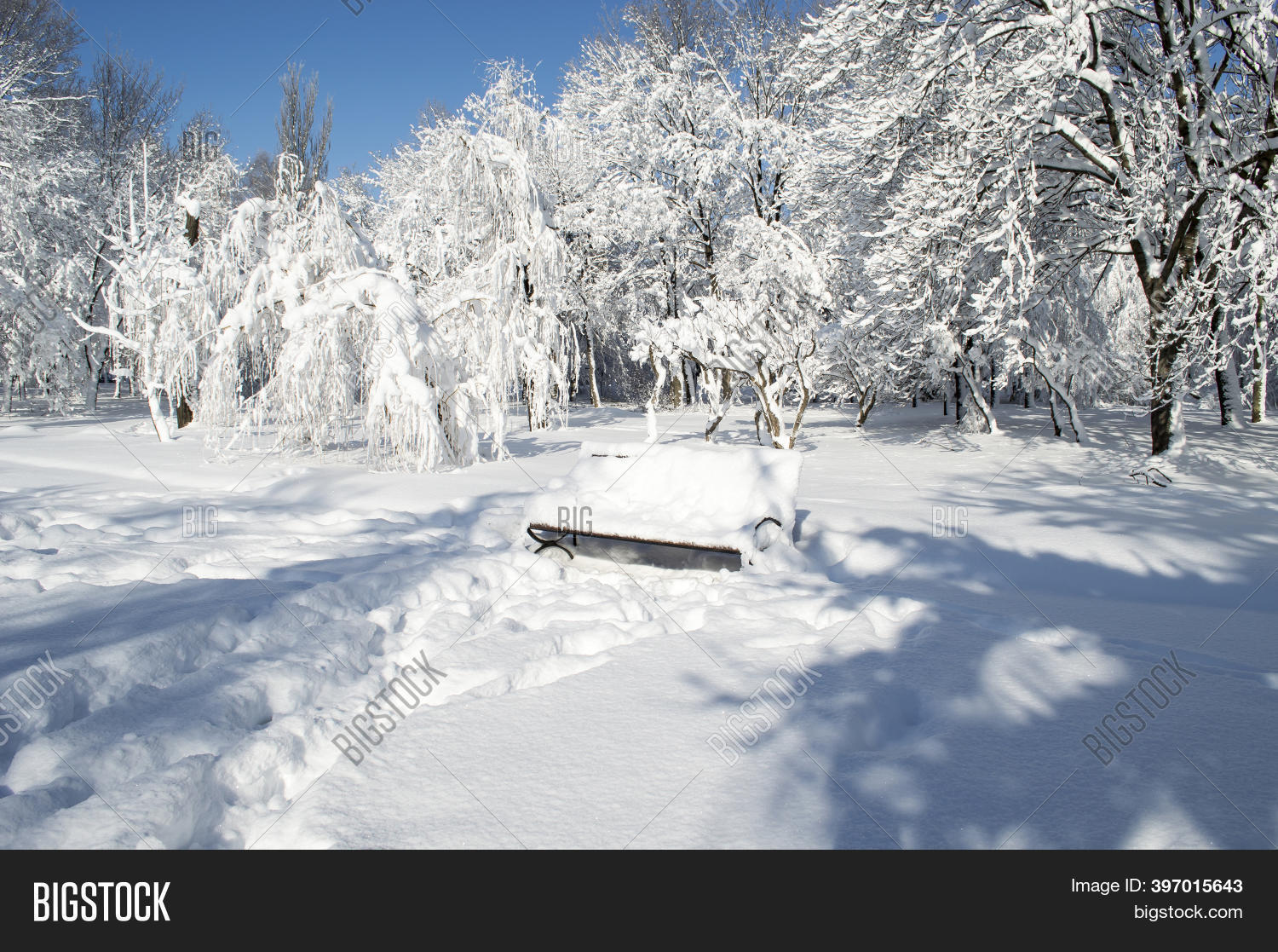 Snow-covered Bench Image & Photo (Free Trial) | Bigstock
