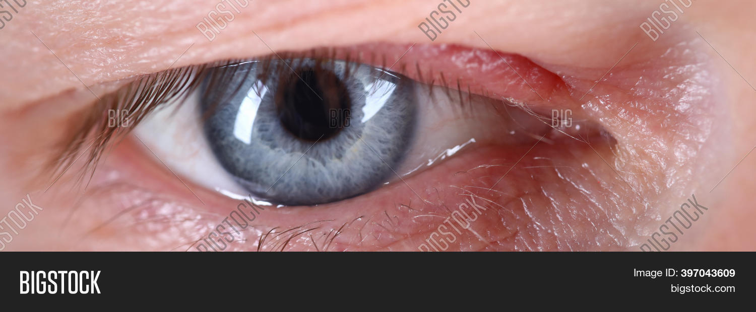 Contented Gaze Man, Image & Photo (Free Trial) | Bigstock