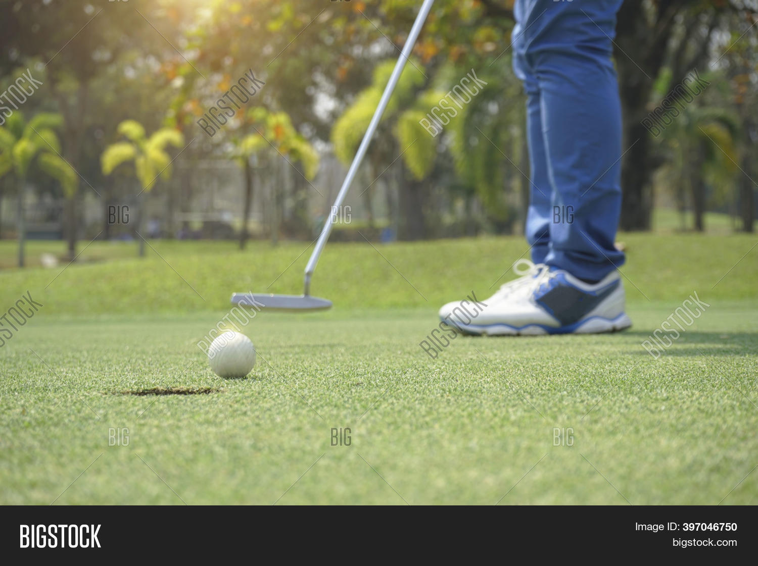Golfer Playing Golf Image & Photo (Free Trial) | Bigstock