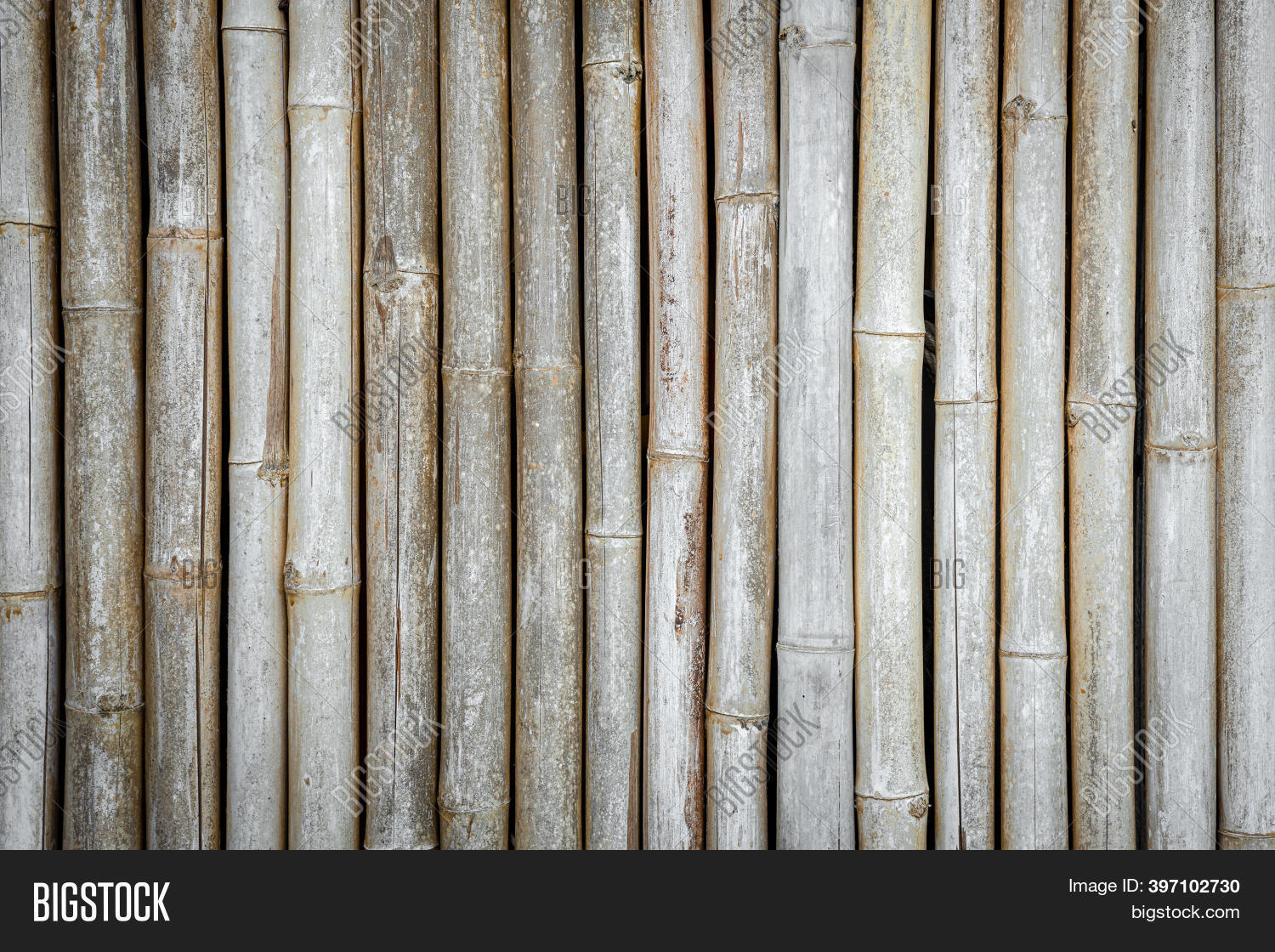 Bamboo Fence Texture Image & Photo (Free Trial) | Bigstock