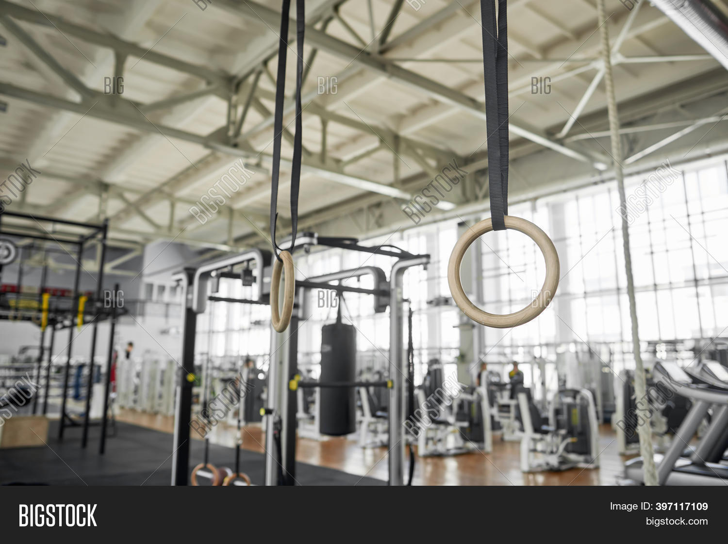 Set Rings On Gym Image & Photo (Free Trial) | Bigstock