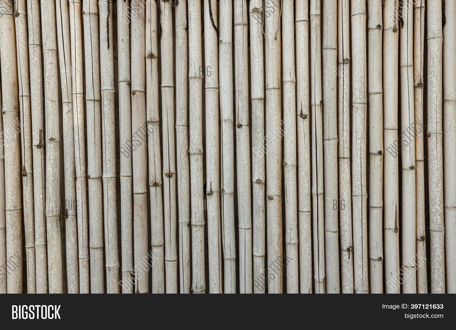 Bamboo Fence Texture Image & Photo (Free Trial) | Bigstock