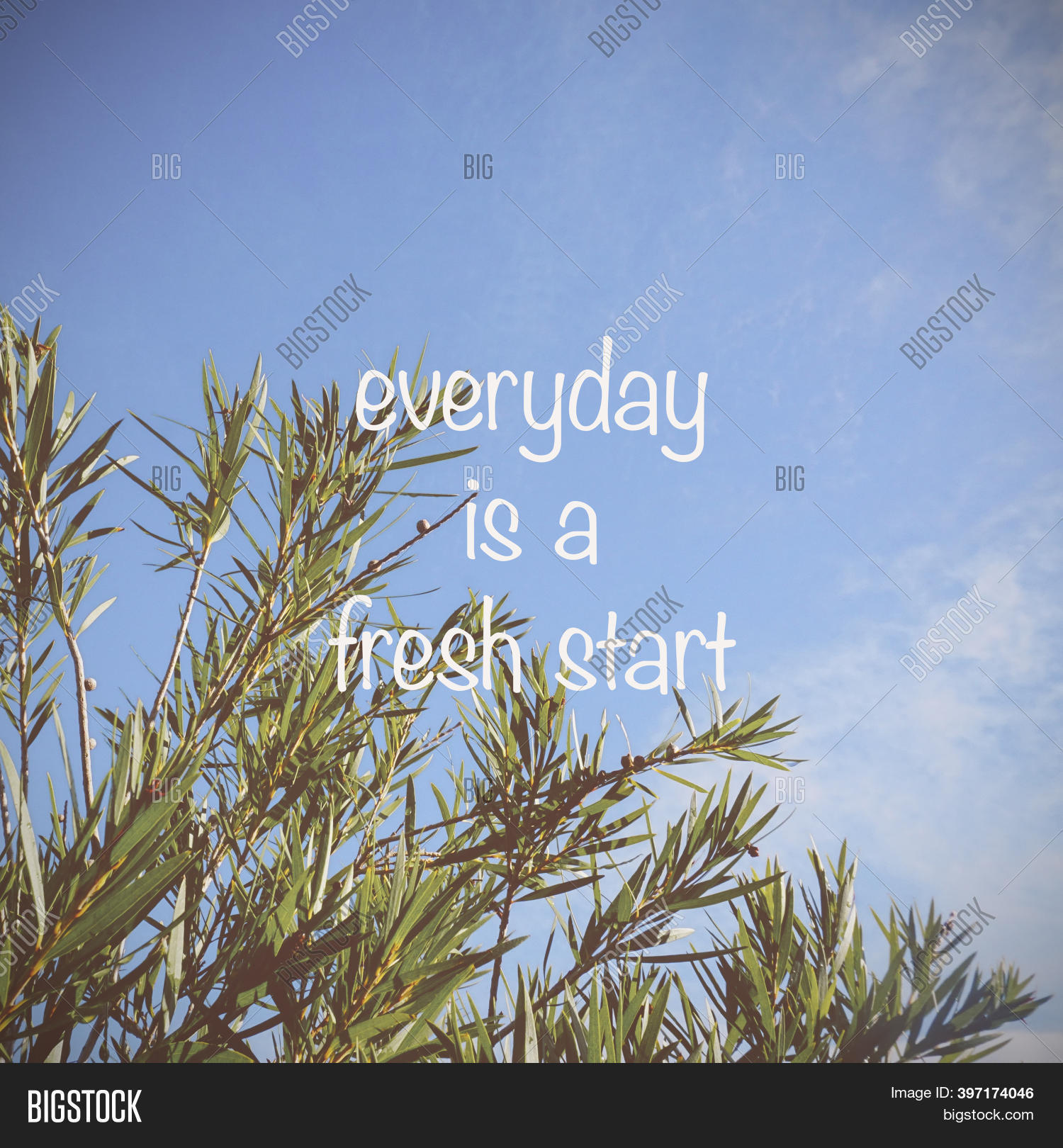 Inspirational Quotes Image & Photo (Free Trial) | Bigstock