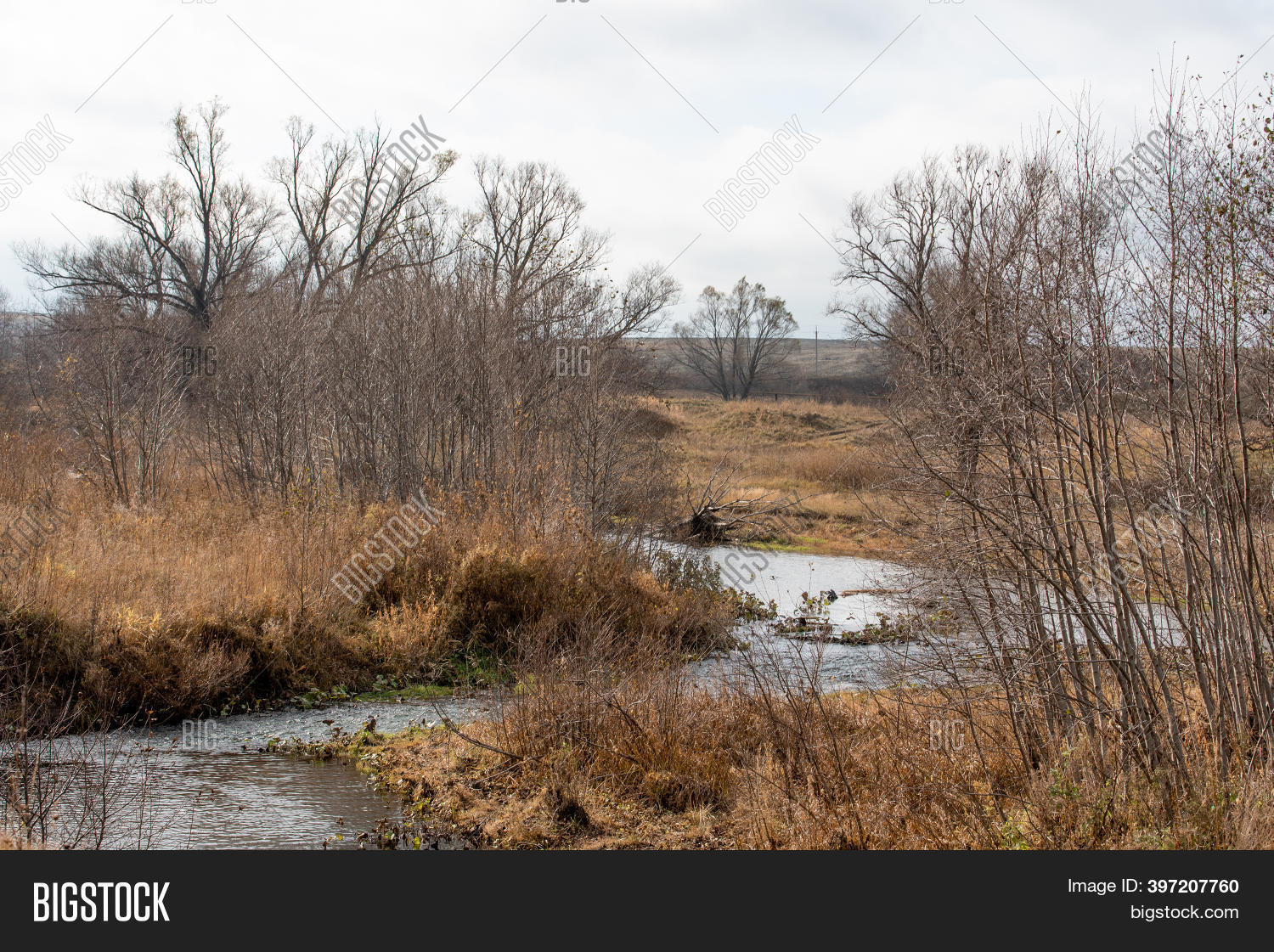 Autumn Gray Landscape Image & Photo (Free Trial) | Bigstock