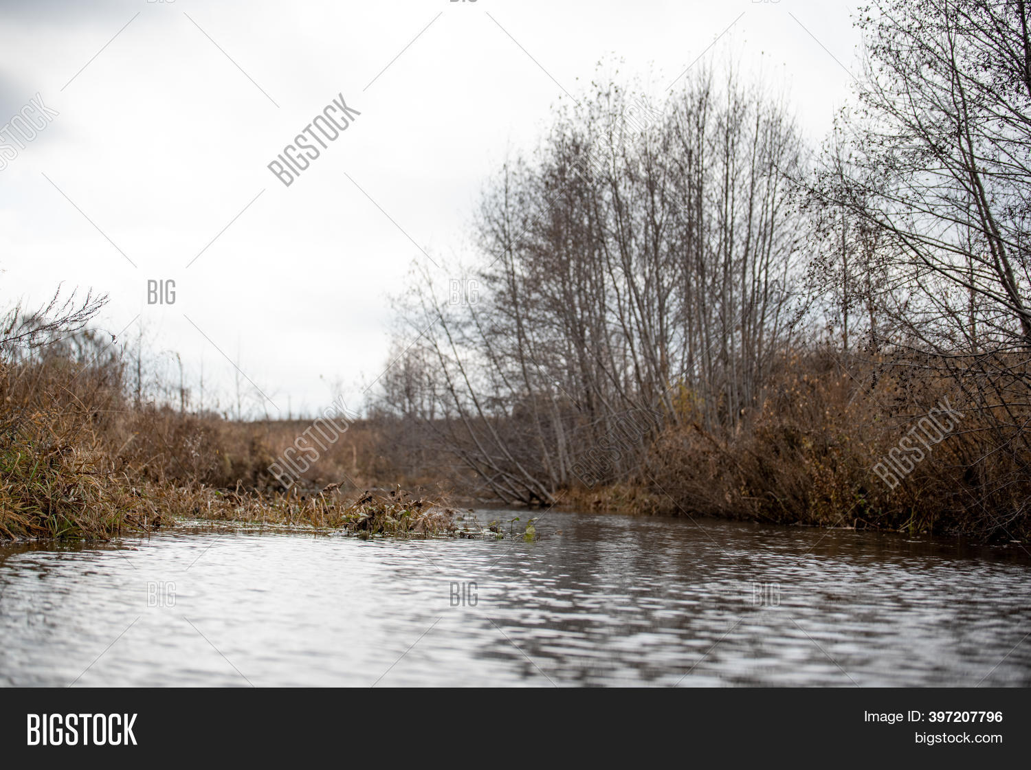 Autumn Gray Landscape Image & Photo (Free Trial) | Bigstock