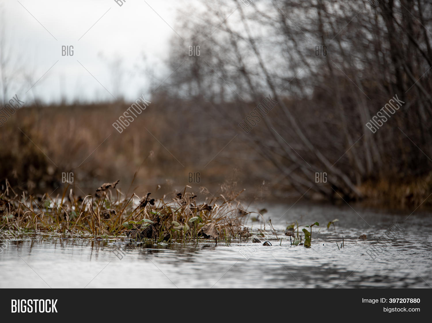 Autumn Gray Landscape Image & Photo (Free Trial) | Bigstock