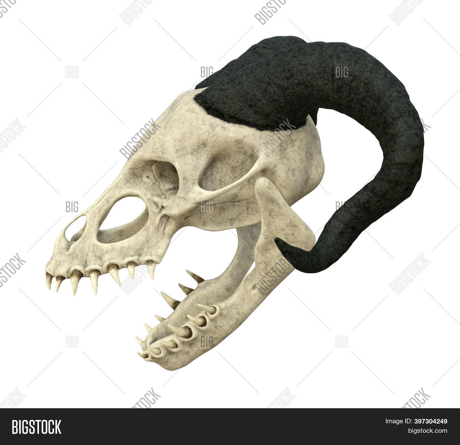 Monster Skull Isolated Image & Photo (Free Trial) | Bigstock