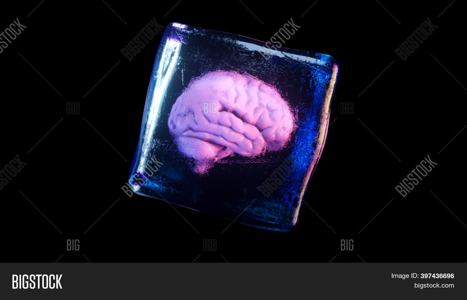 Frozen Human Brain Image & Photo (Free Trial) | Bigstock