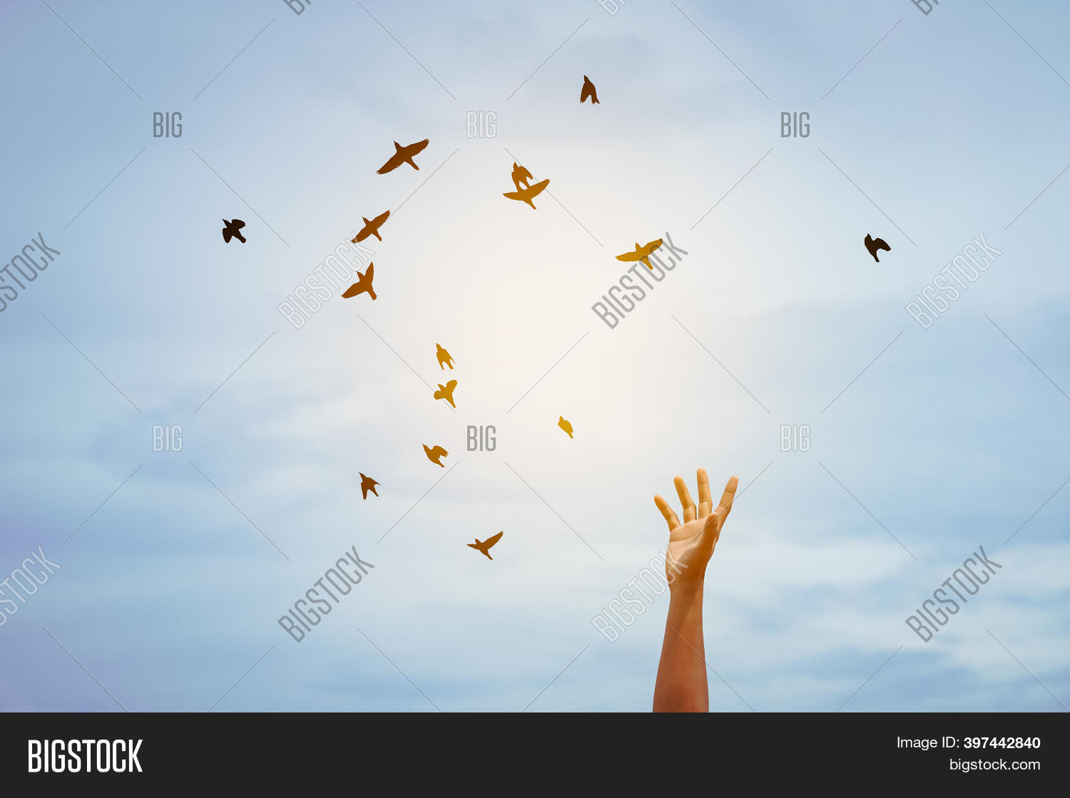 Man Raise Open Hand Image & Photo (Free Trial) | Bigstock