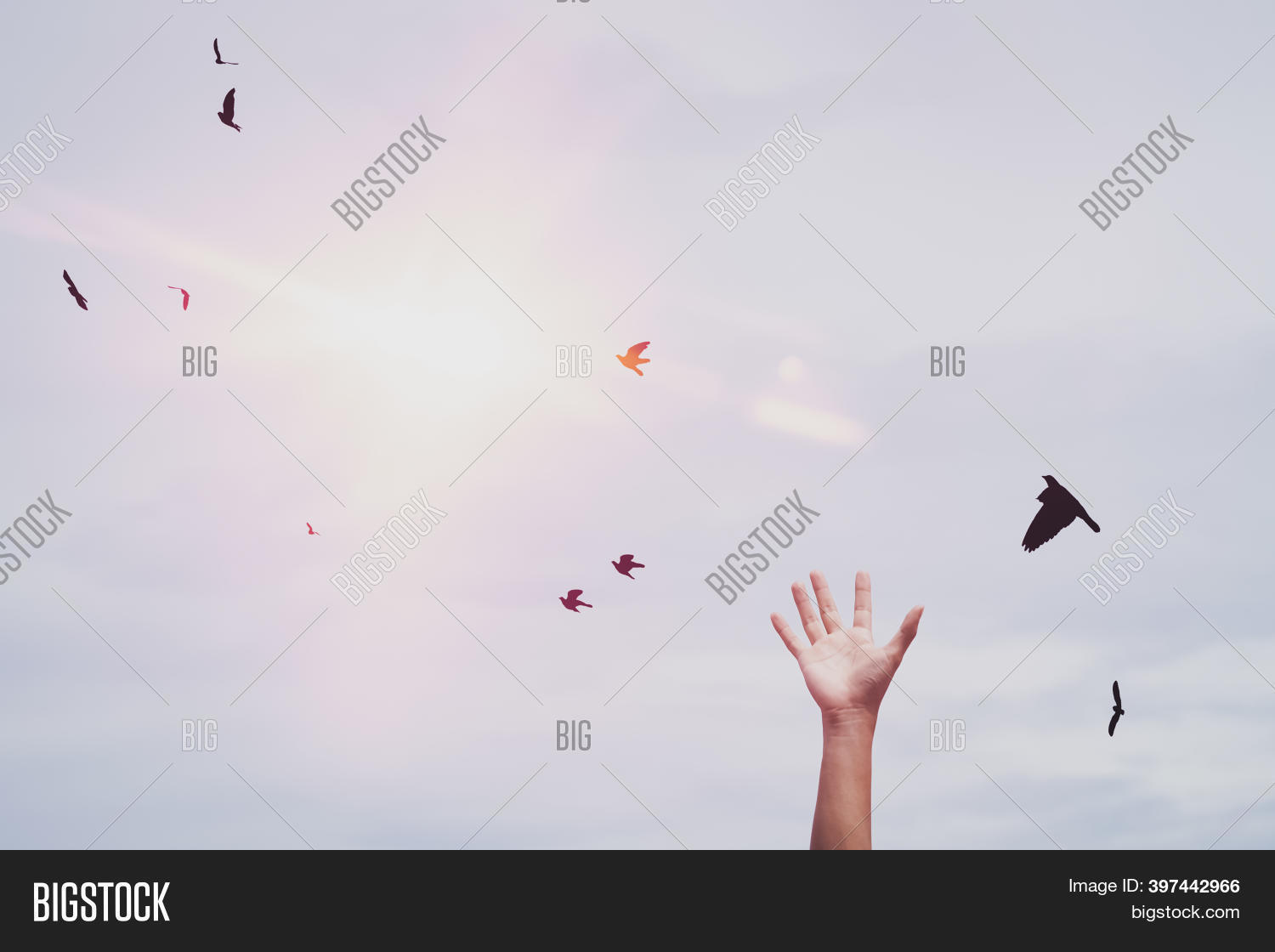 Man Raise Open Hand Image & Photo (Free Trial) | Bigstock