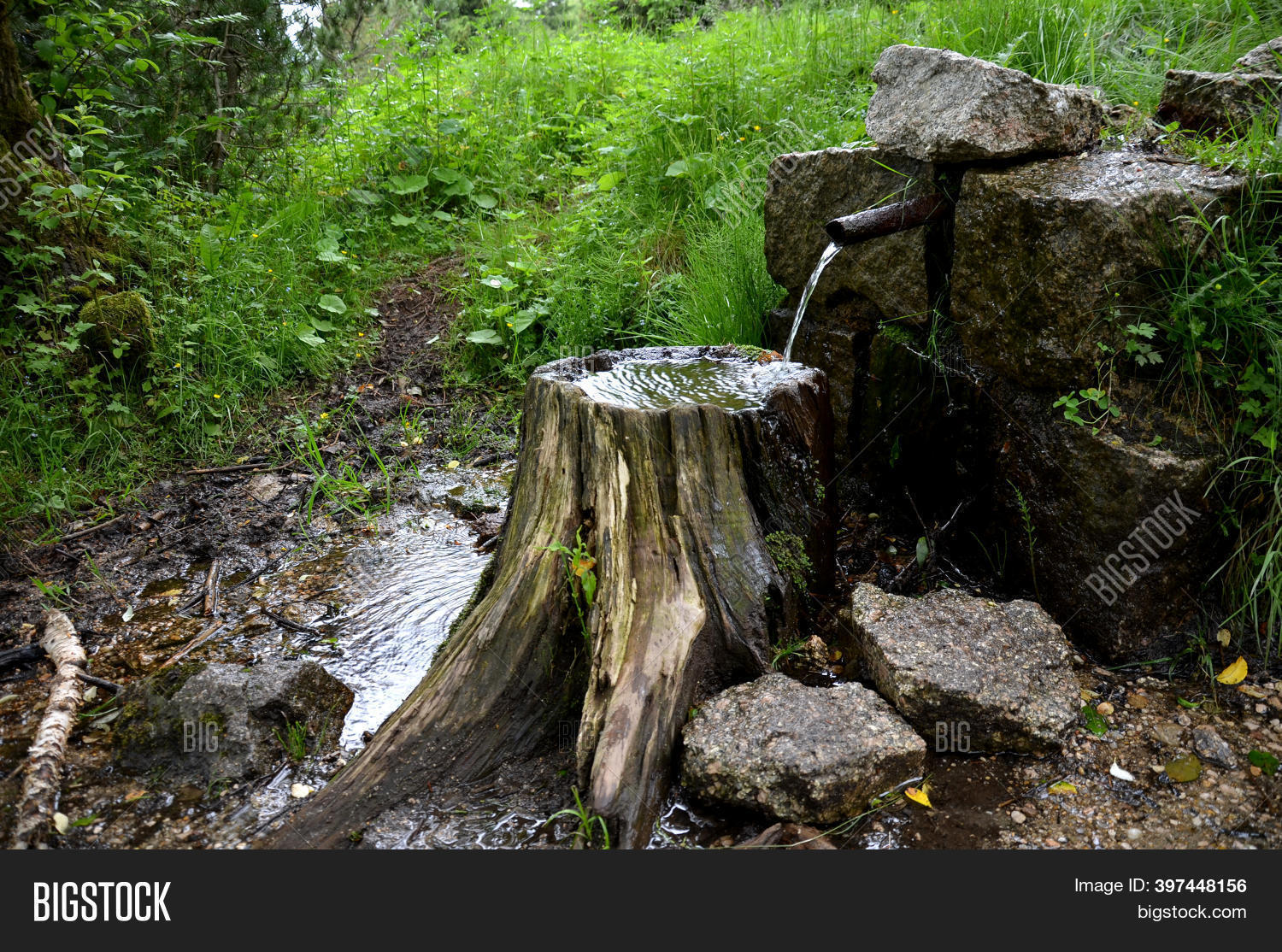 Well Spring Flows Image & Photo (Free Trial) | Bigstock