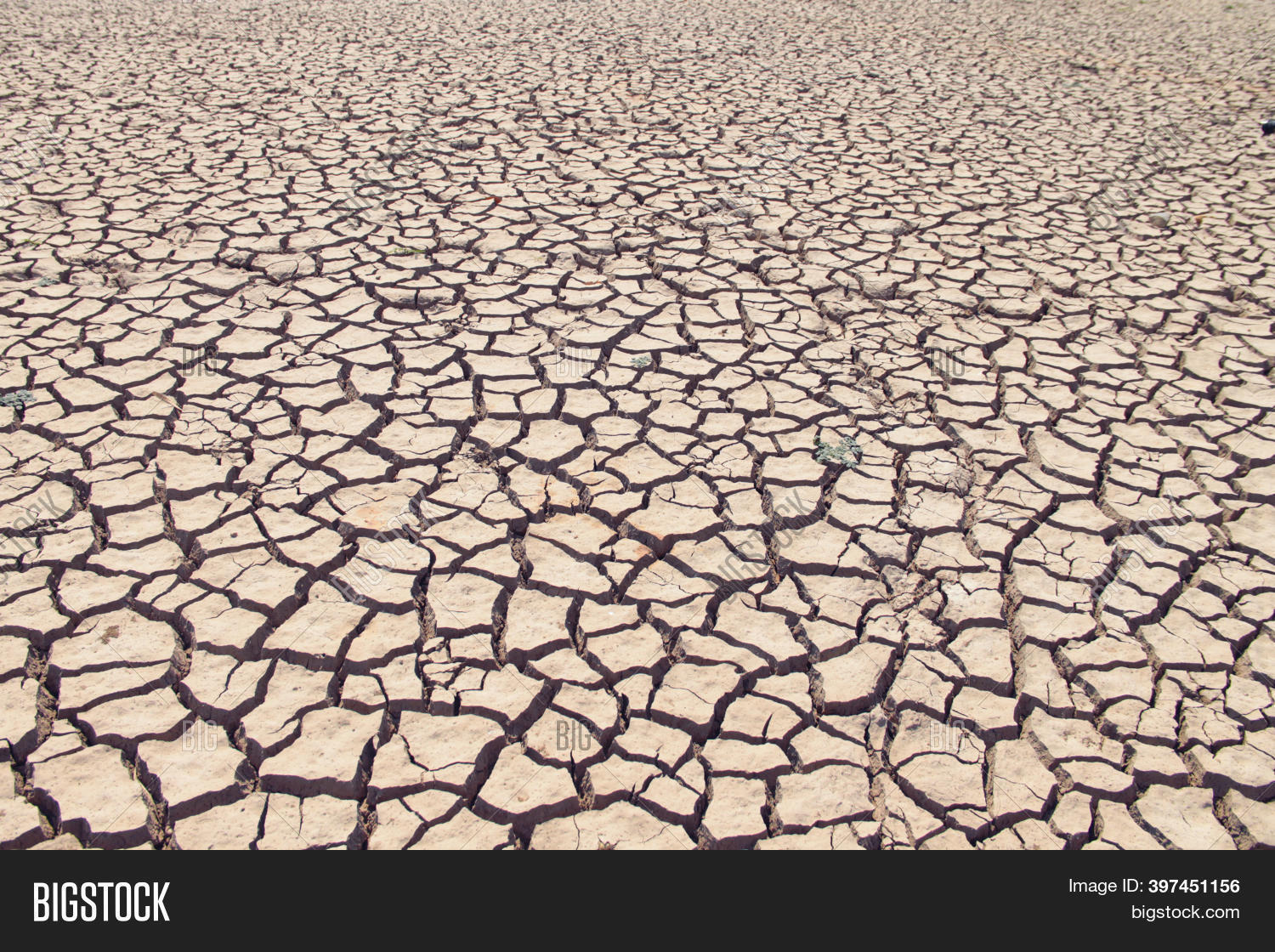 Drought Land Texture Image & Photo (Free Trial) | Bigstock