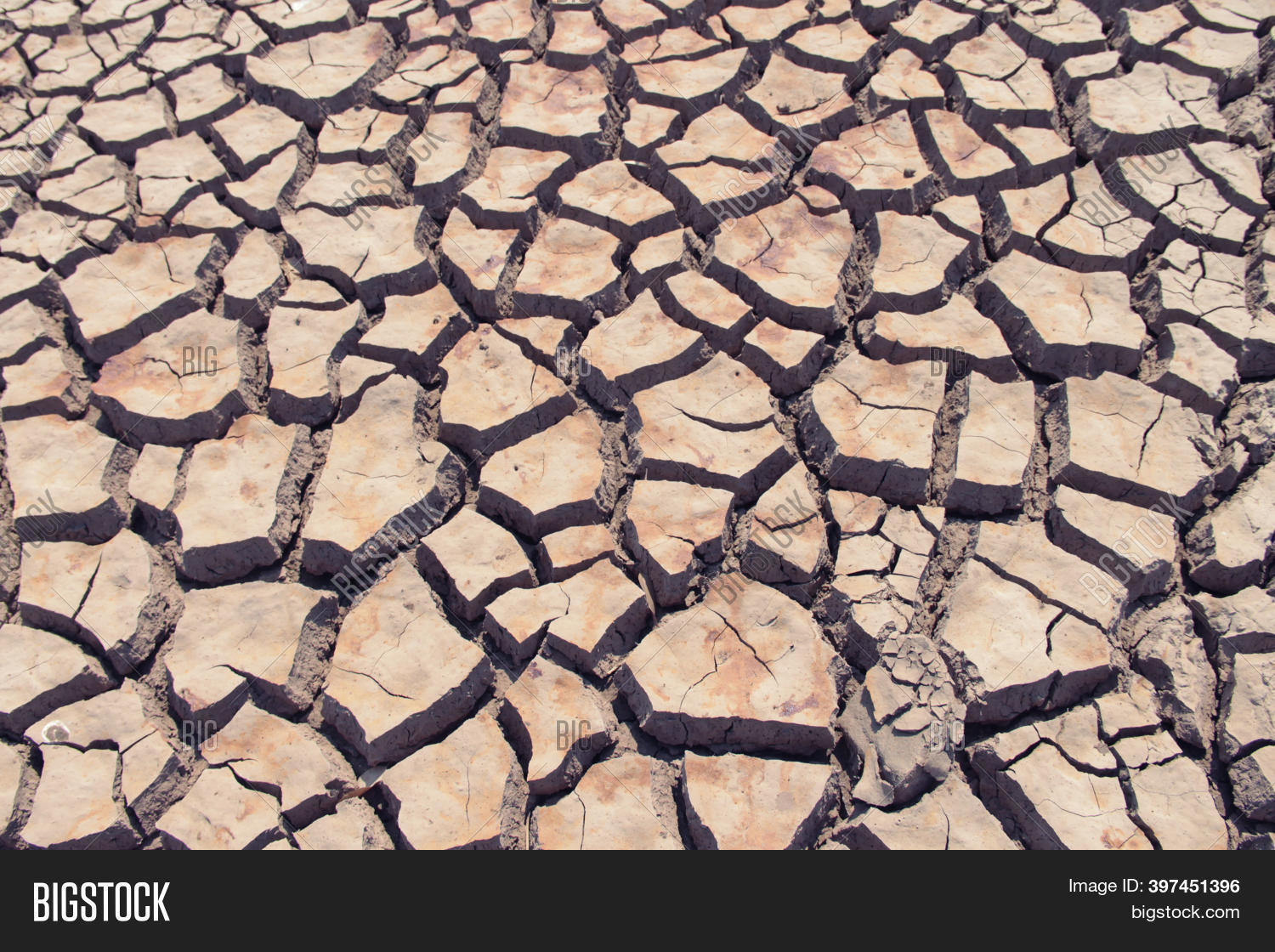 Drought Land Texture Image & Photo (Free Trial) | Bigstock