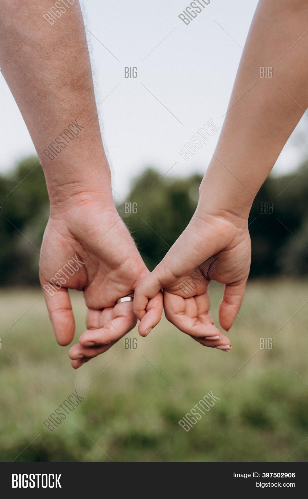 Scheme Handshaking Image & Photo (Free Trial) | Bigstock