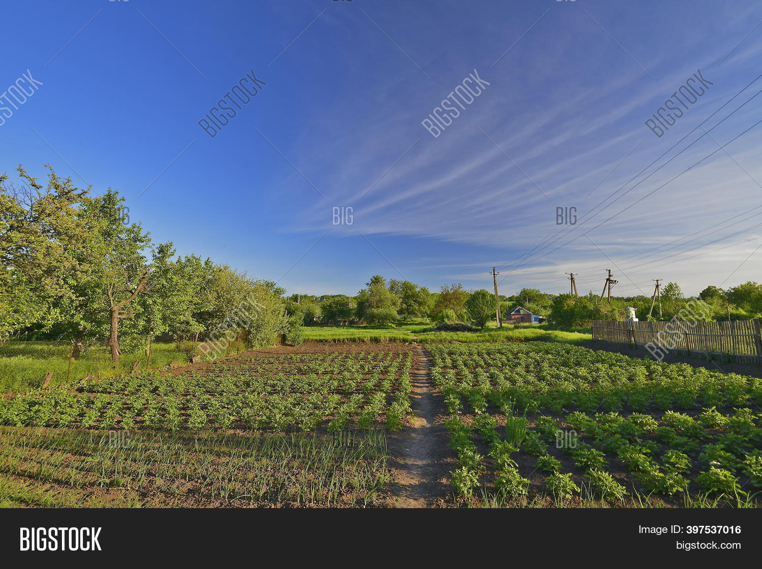 Novomoskovsk City Image & Photo (Free Trial) | Bigstock