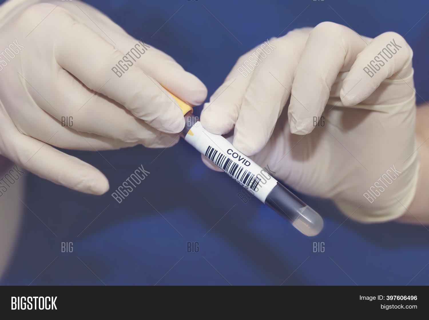 Hands Doctor, Nurse, Image & Photo (Free Trial) | Bigstock