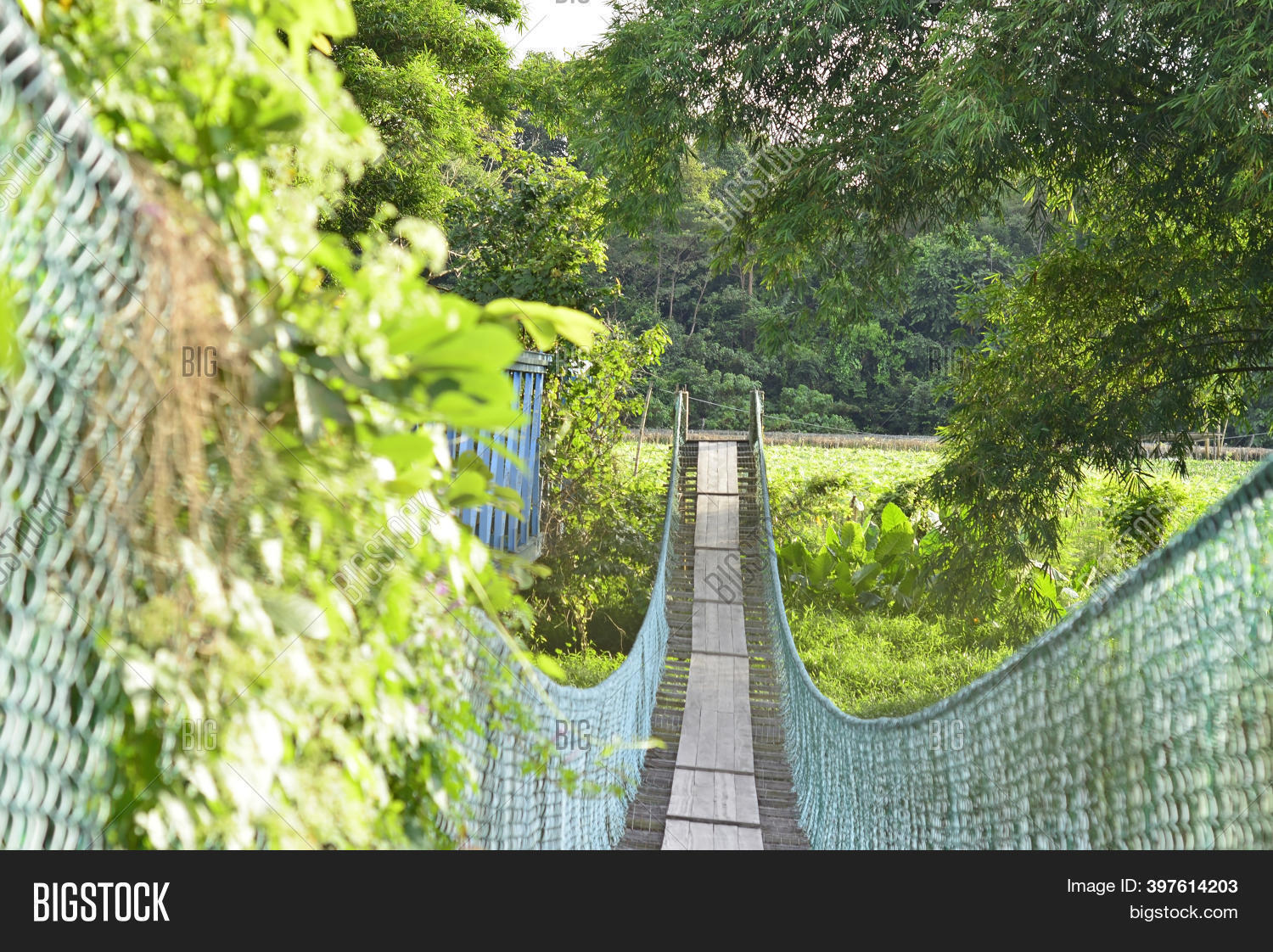 Hanging Bridge Full Image & Photo (Free Trial) | Bigstock