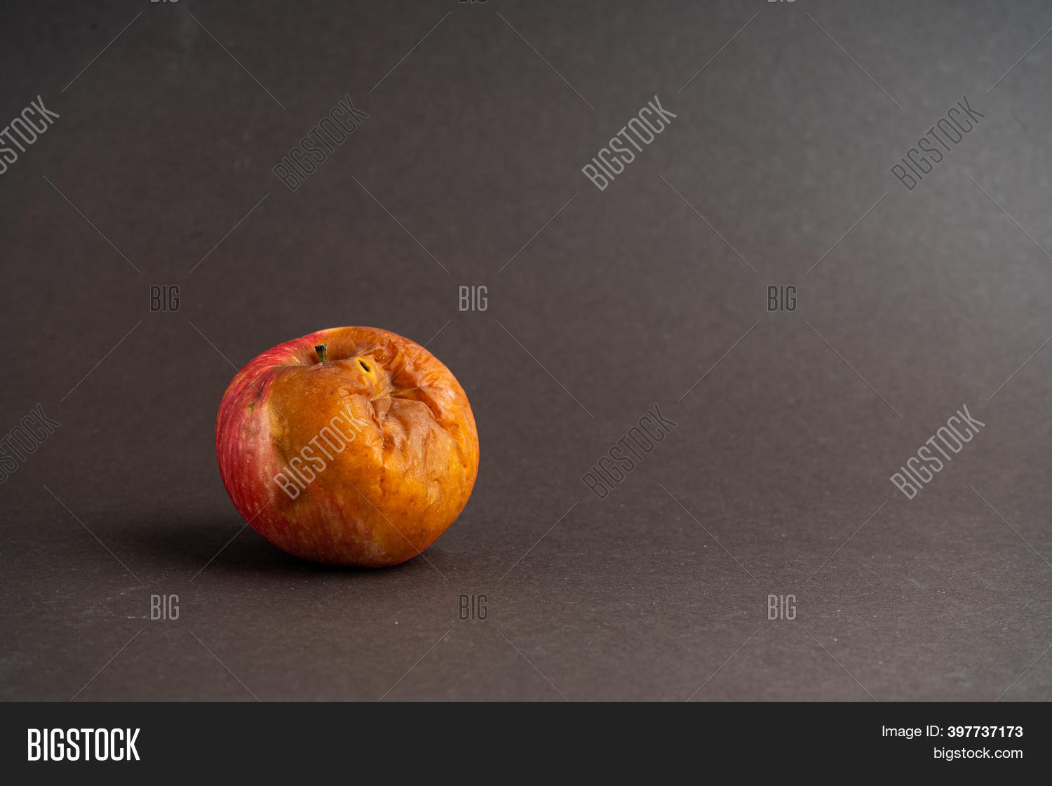 Rotten Apple Worm On Image & Photo (Free Trial) | Bigstock