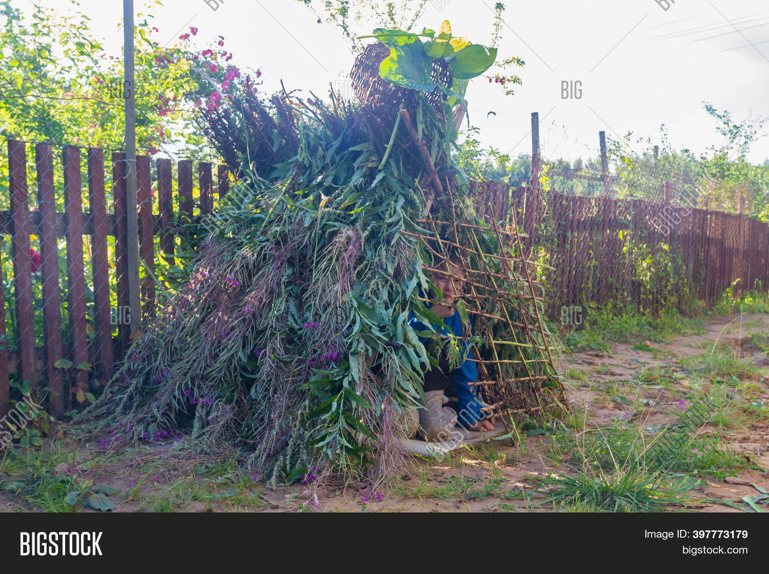 Hut Branches Leaves Image & Photo (Free Trial) | Bigstock