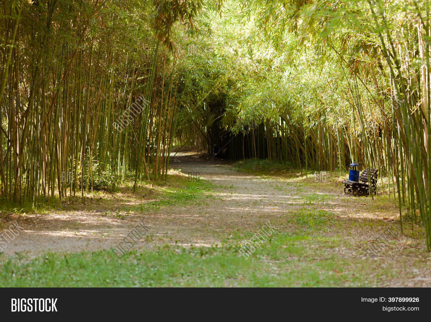 Path Going Into Image & Photo (Free Trial) | Bigstock