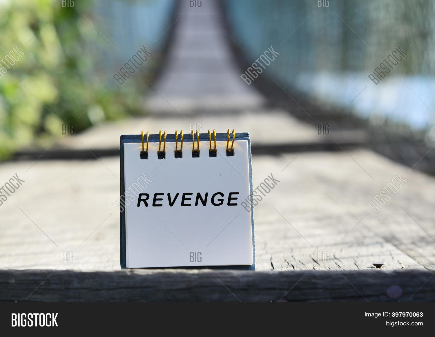 Revenge Text Written Image & Photo (Free Trial) | Bigstock