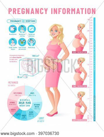 Pregnancy Infographic Vector & Photo (Free Trial) | Bigstock